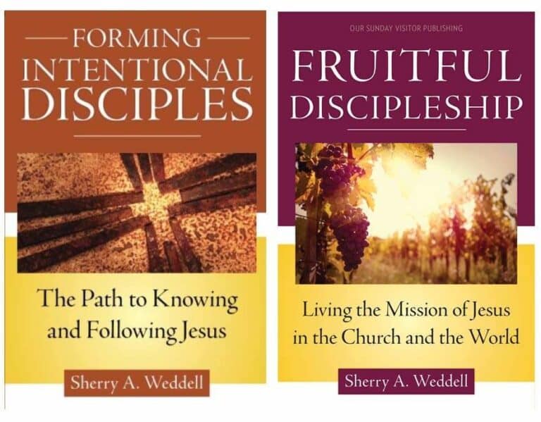 Forming Intentional Disciples and Fruitful Discipleship Combo ...